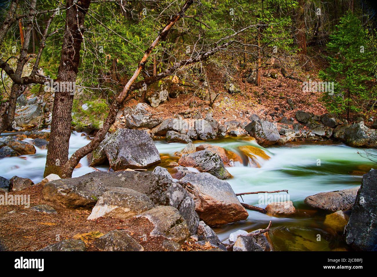 River with rocks and cascading falls next to spring tree Stock Photo ...