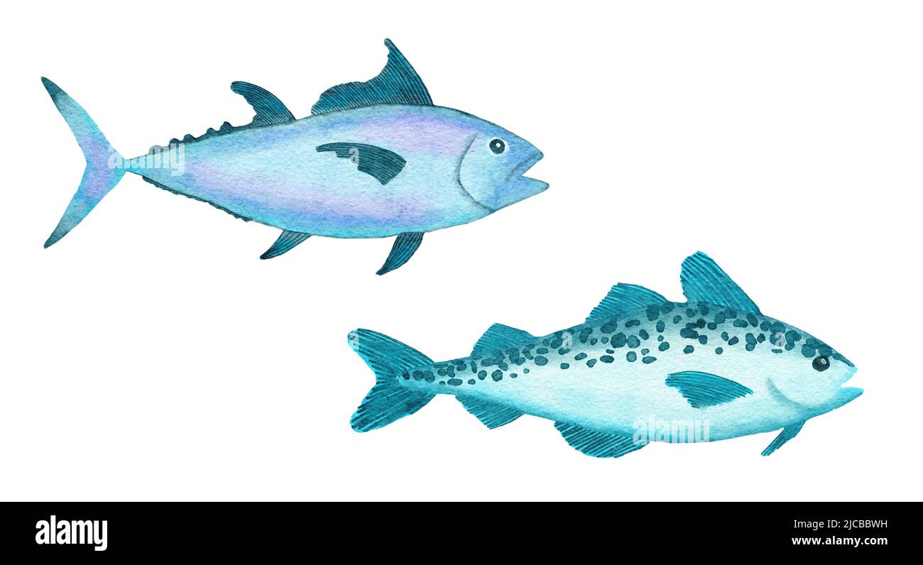 Watercolor illustration of tropical fish in blue turquoise purple ...