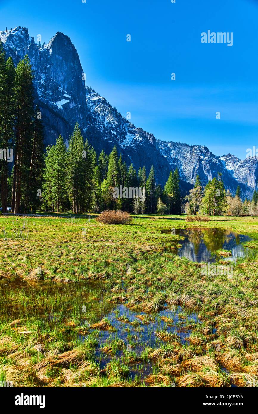 Lush and wet fields at Yosemite by the Cathedral Rocks Stock Photo - Alamy