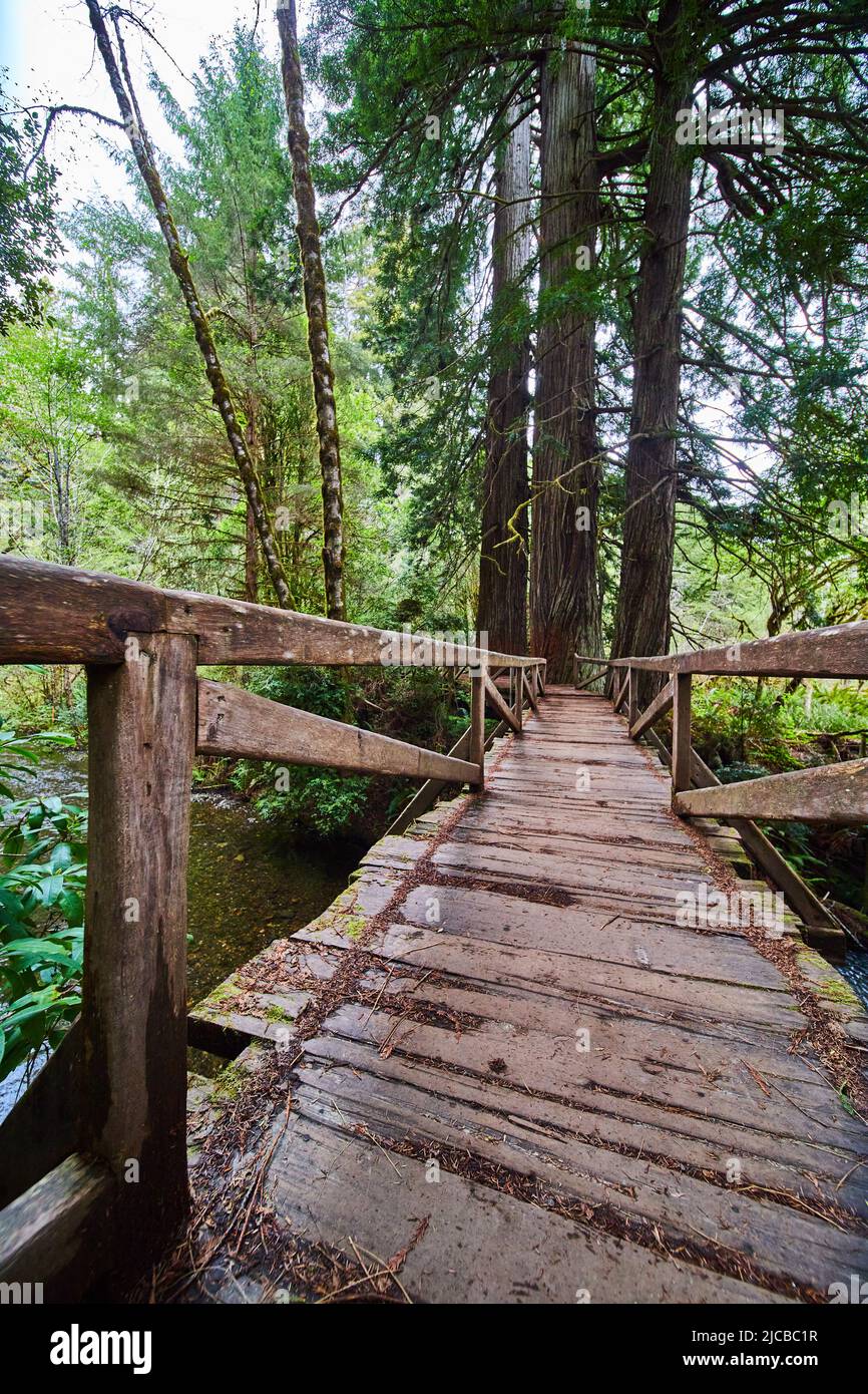 Simple rustic wood walking bridge in forest Stock Photo - Alamy