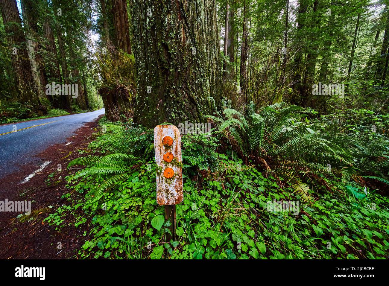 Road sign in field of clovers protecting trees next to paved road Stock ...