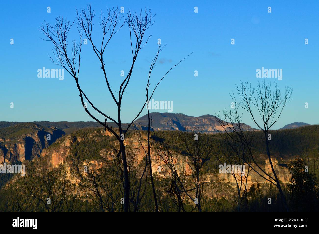 A view of the Grose Valley at Mount Victoria in the Blue Mountains of ...