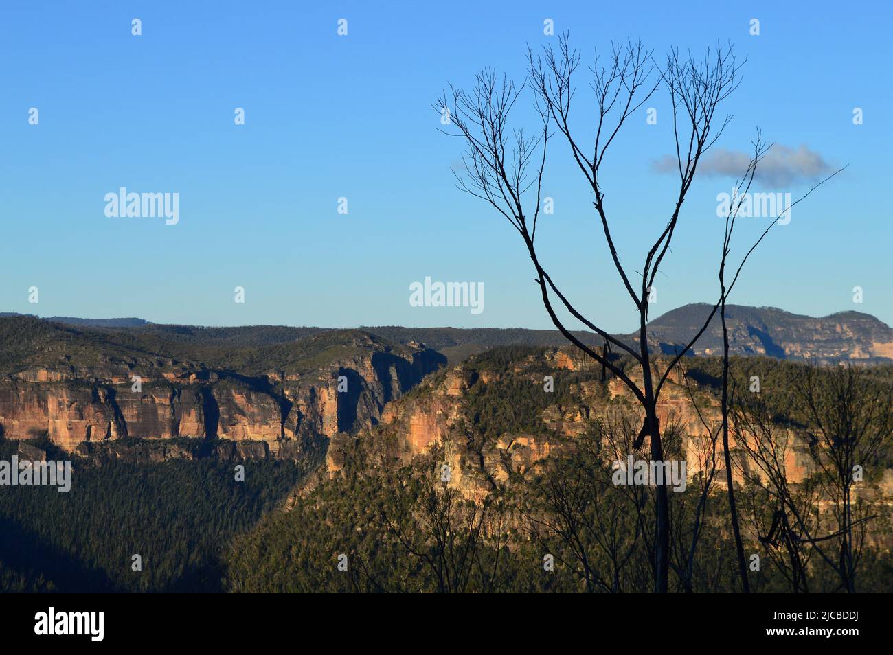 A view of the Grose Valley at Mount Victoria in the Blue Mountains of ...