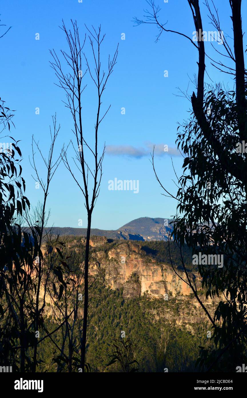A view of the Grose Valley at Mount Victoria in the Blue Mountains of ...