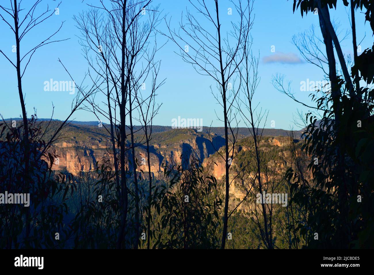 A view of the Grose Valley at Mount Victoria in the Blue Mountains of ...