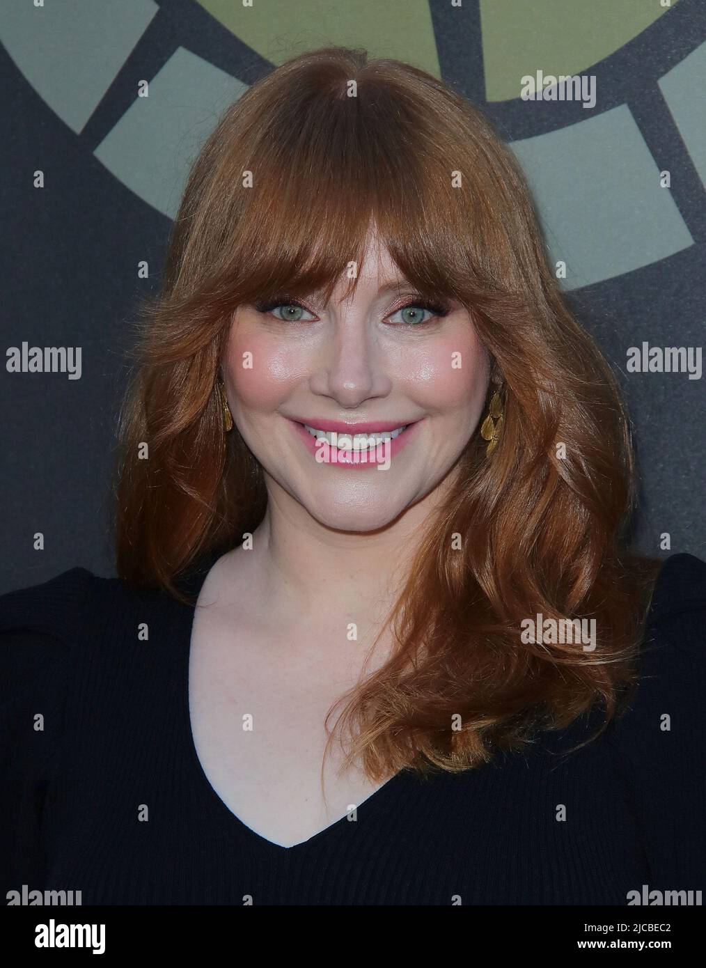 Bryce Dallas Howard arrives at The Charlize Theron Africa Outreach ...