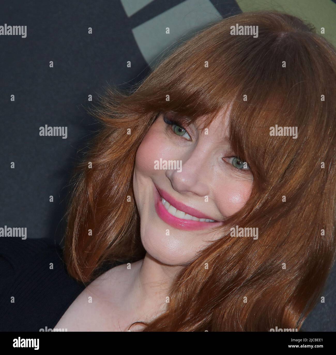 Bryce Dallas Howard arrives at The Charlize Theron Africa Outreach ...