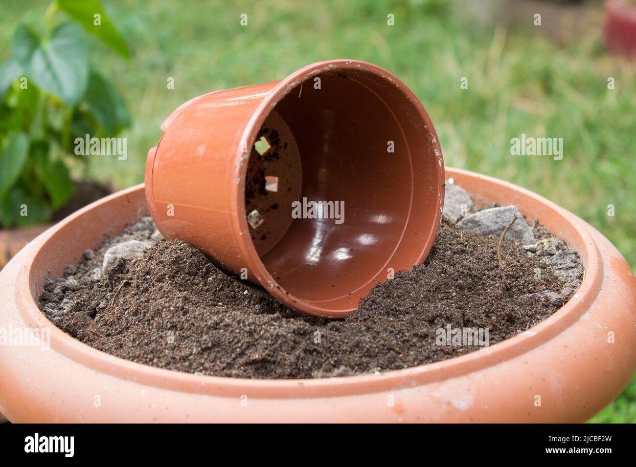 flower pot in the yard with the land Stock Photo - Alamy