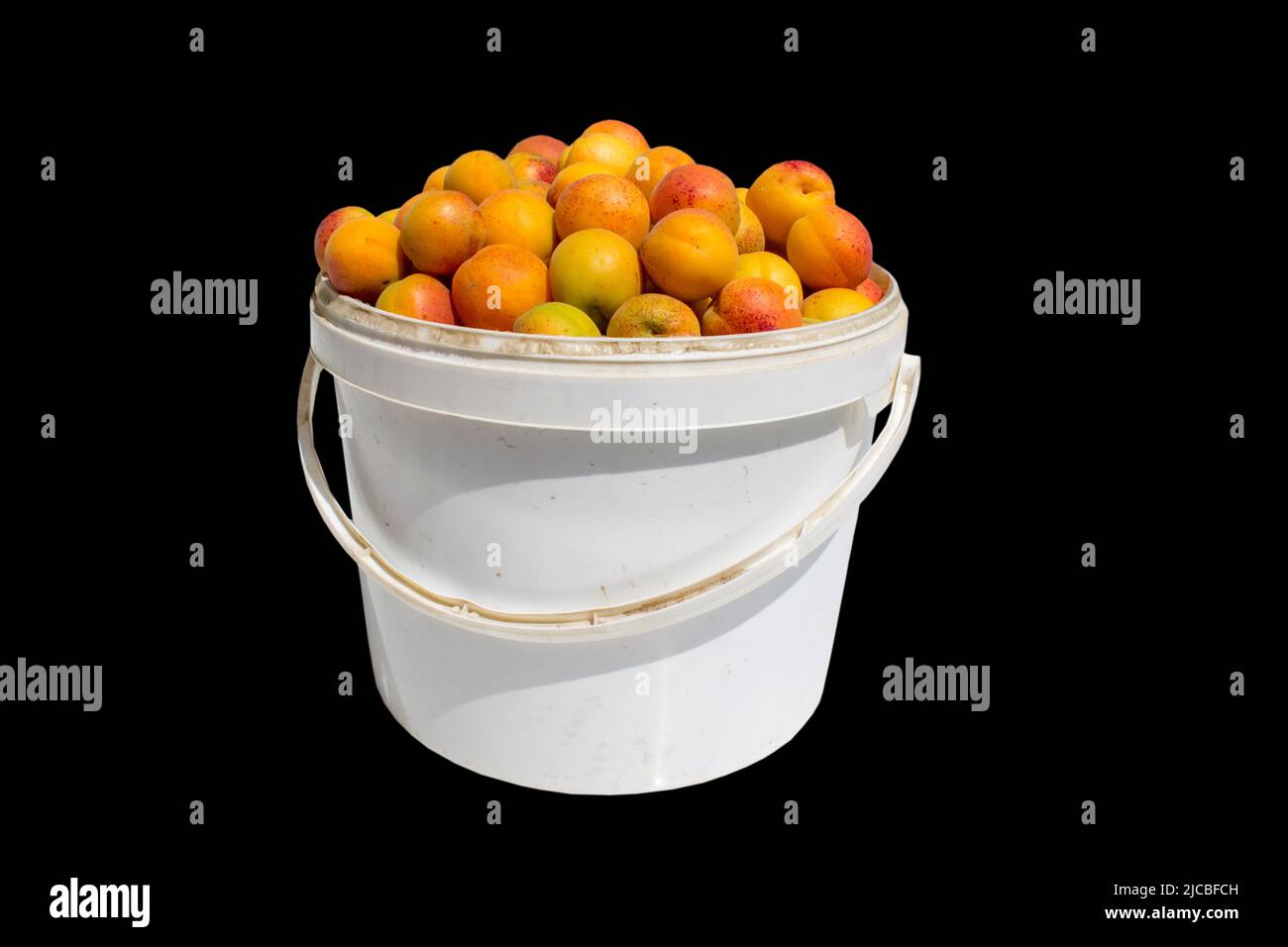 Fruit in a bucket hi-res stock photography and images - Alamy