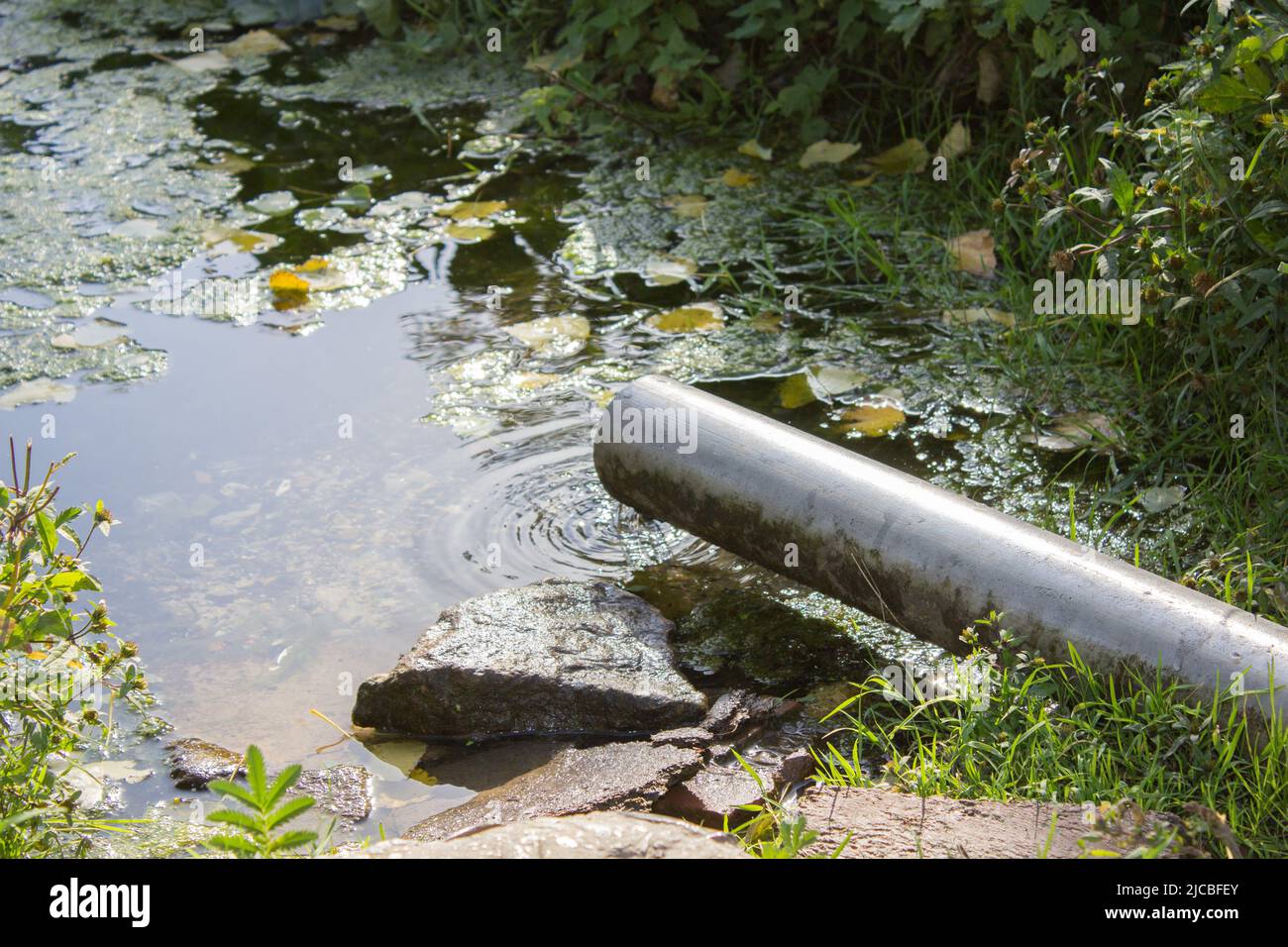 Crystal clear fresh water emerging from a pipe Stock Photo - Alamy