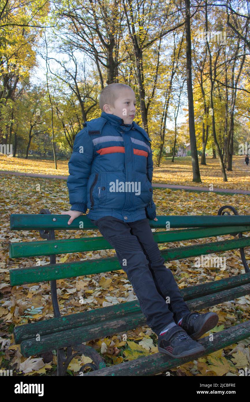 boy standing on a park bench in autumn Stock Photo - Alamy