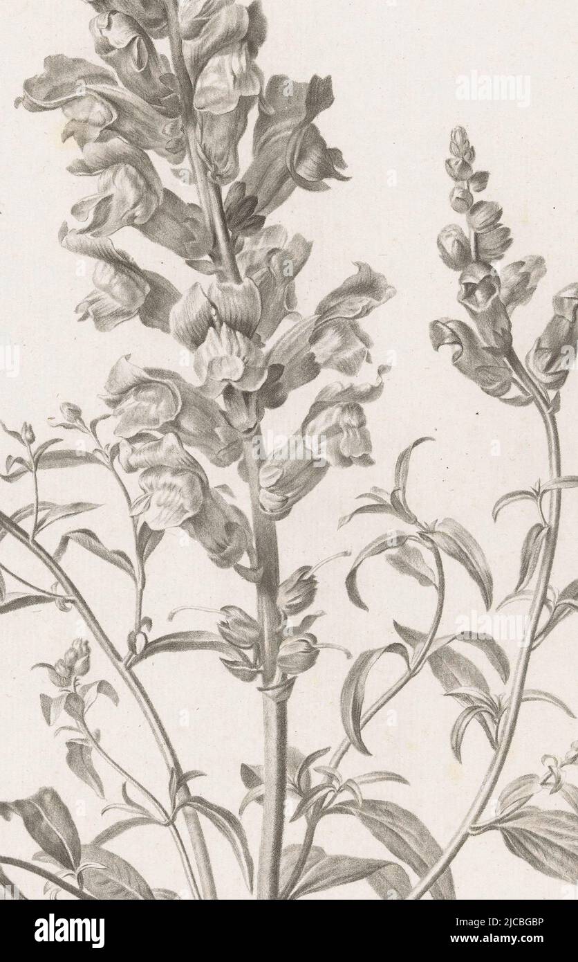 Mufle hi-res stock photography and images - Alamy