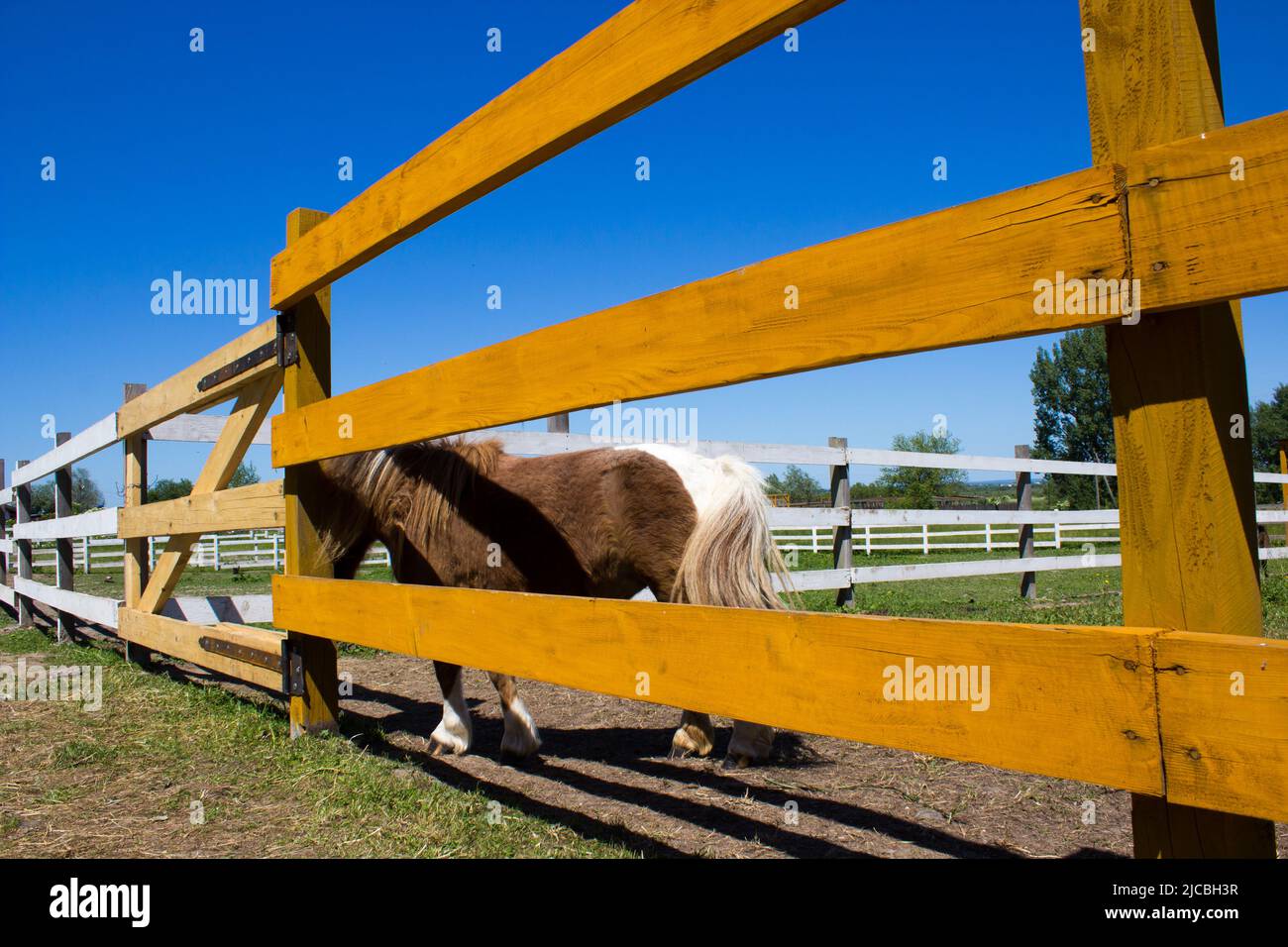 Pasture stable fence hi-res stock photography and images - Alamy