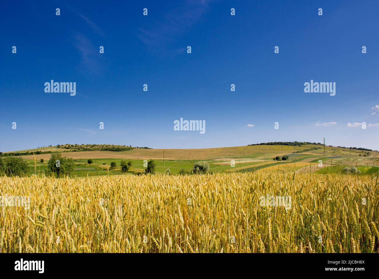 Wheat landscapes hi-res stock photography and images - Alamy