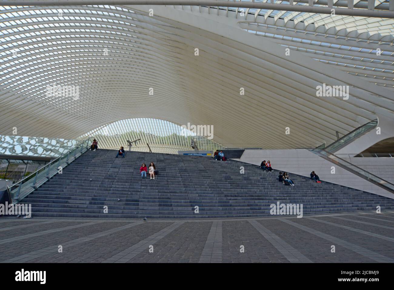 Liège-Guillemins railway station, Liege, Belgium. designed by Architect ...