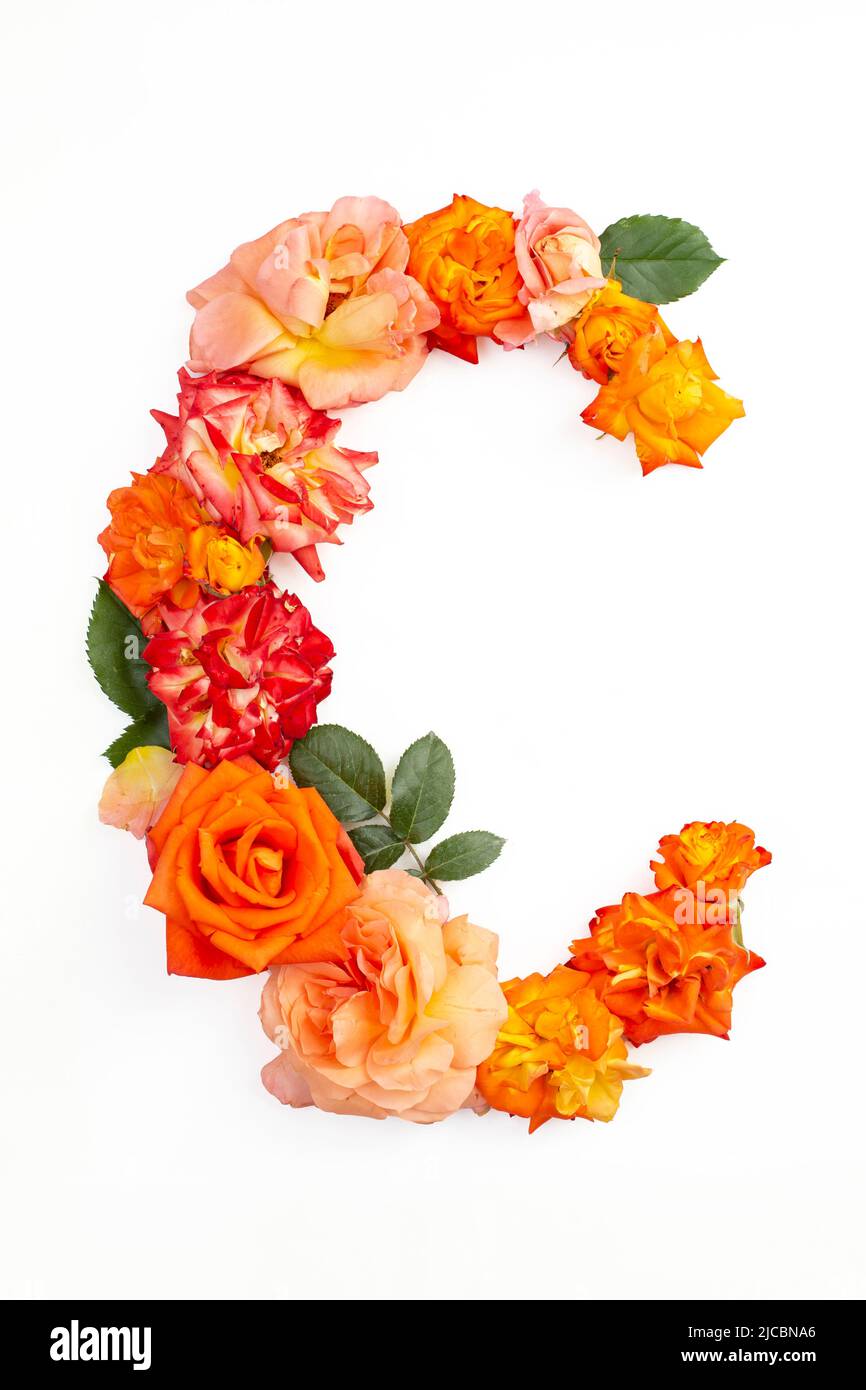 Capital letter C made with red orange roses, isolated on white ...