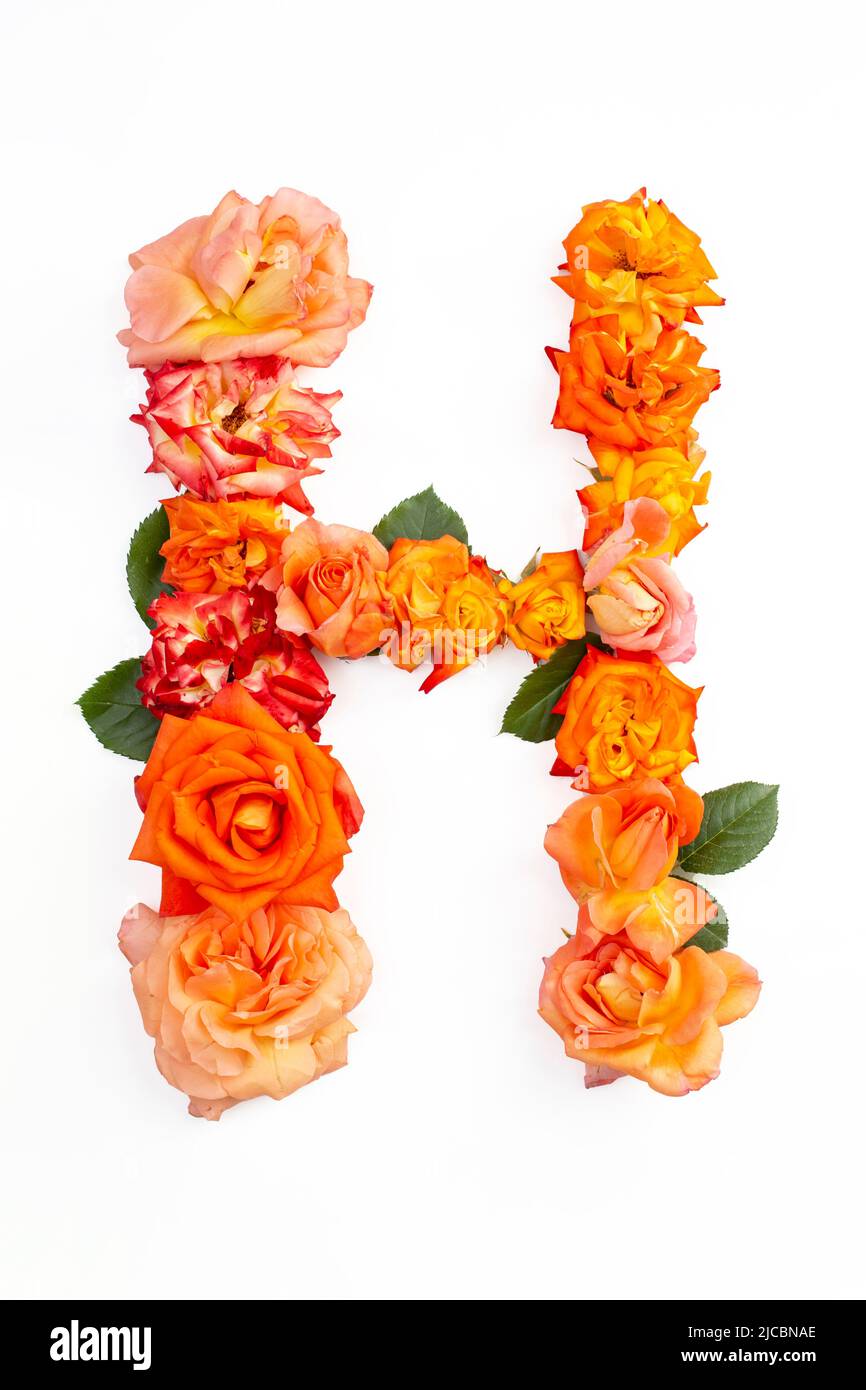 Letter h flowers Cut Out Stock Images & Pictures - Alamy
