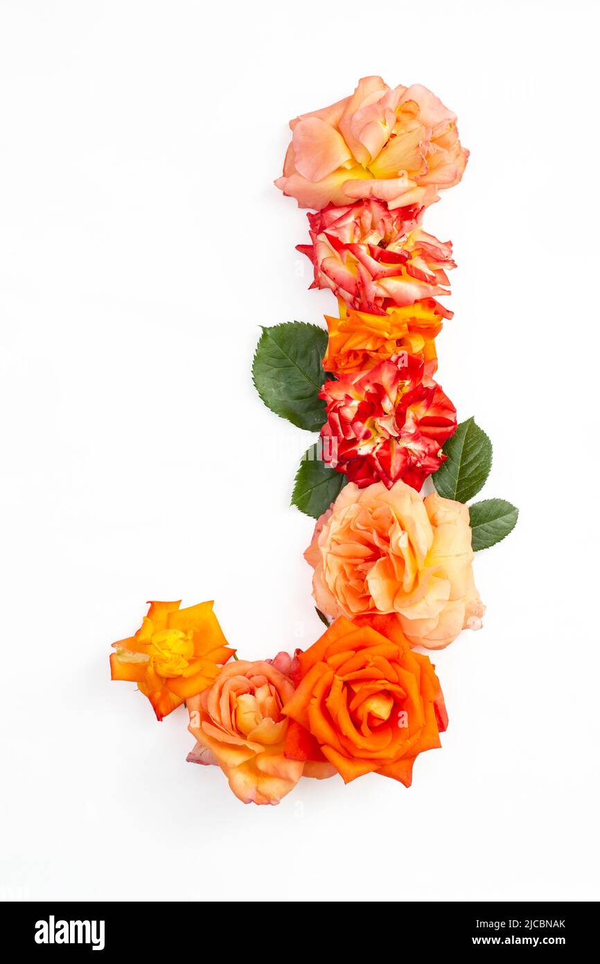 Capital letter j made with red orange roses, isolated on white ...
