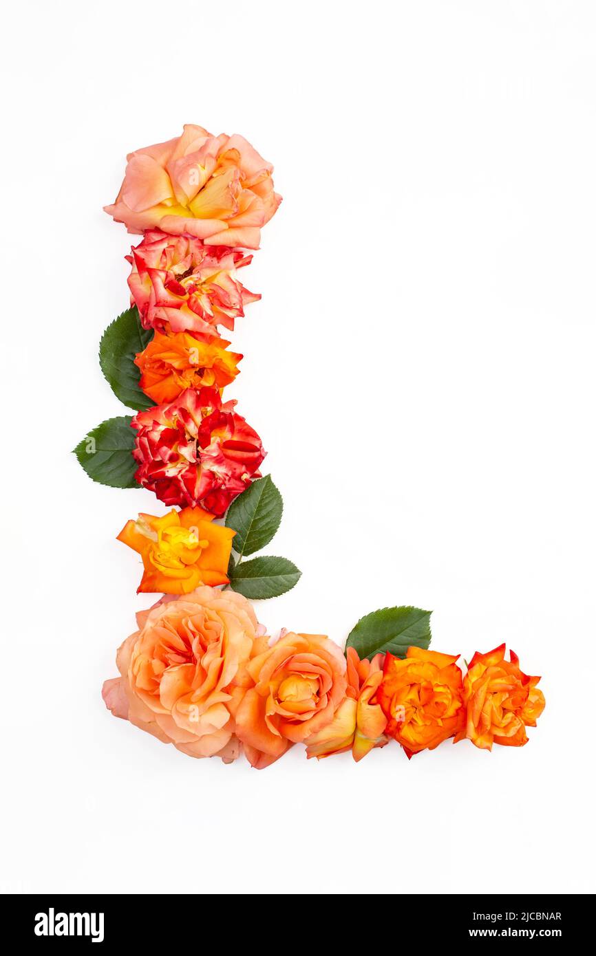 Capital letter L made with red orange roses, isolated on white ...
