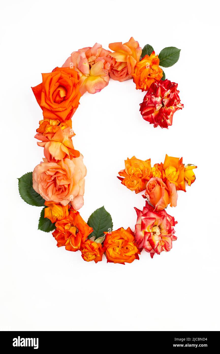 Capital letter G made with red orange roses, isolated on white ...