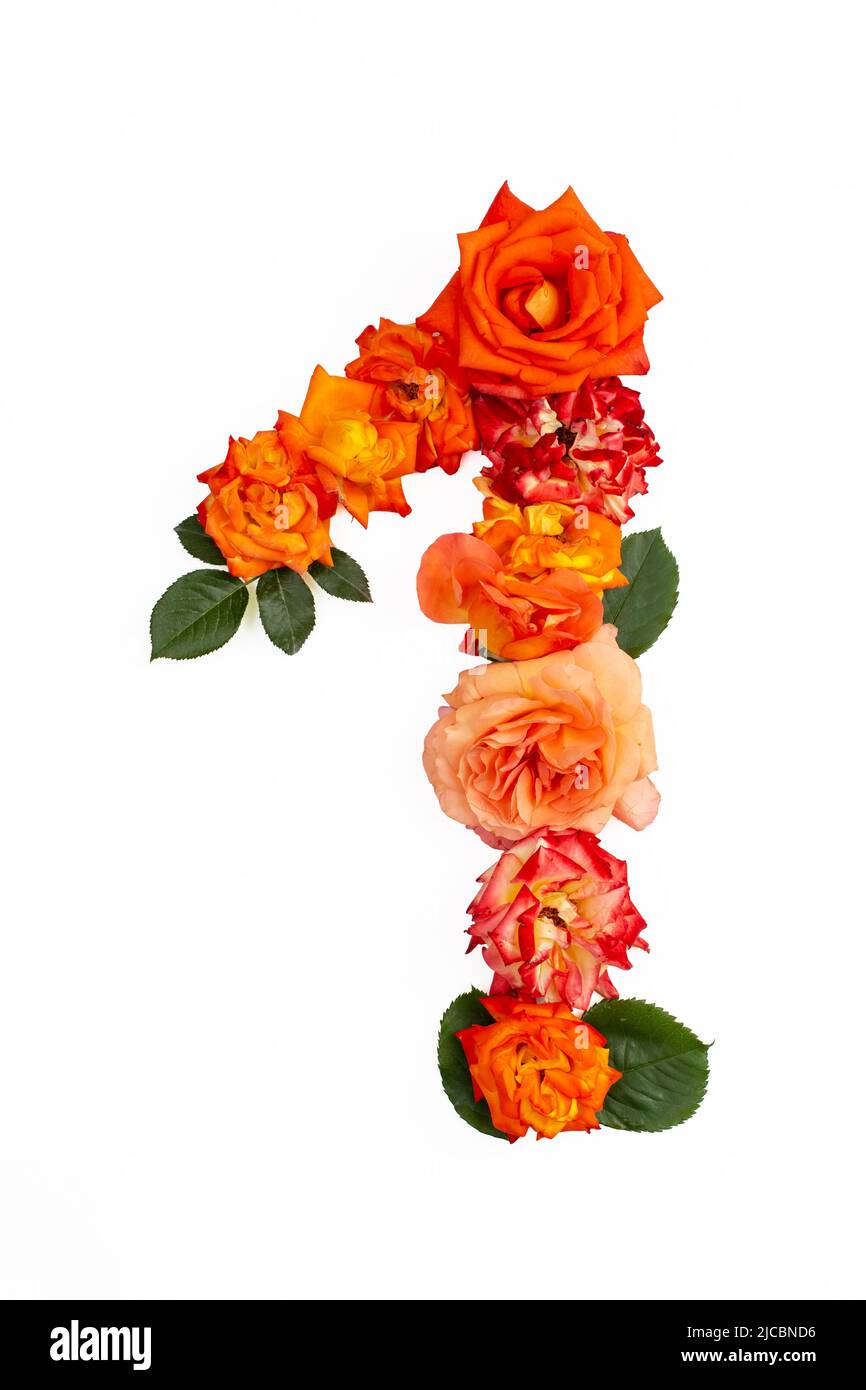 Number one made with real red orange roses, isolated on white ...