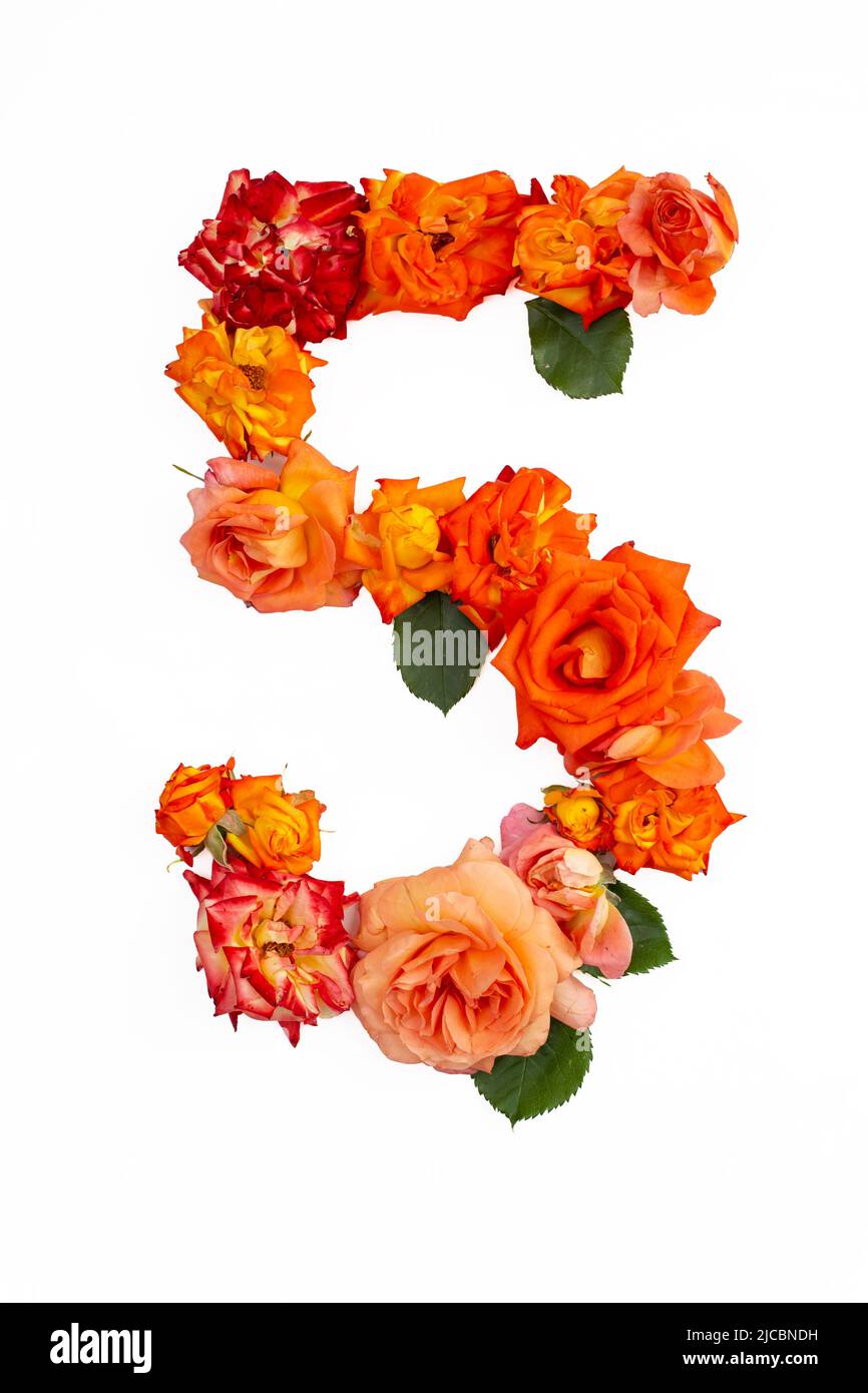Number five made with real red orange roses, isolated on white ...