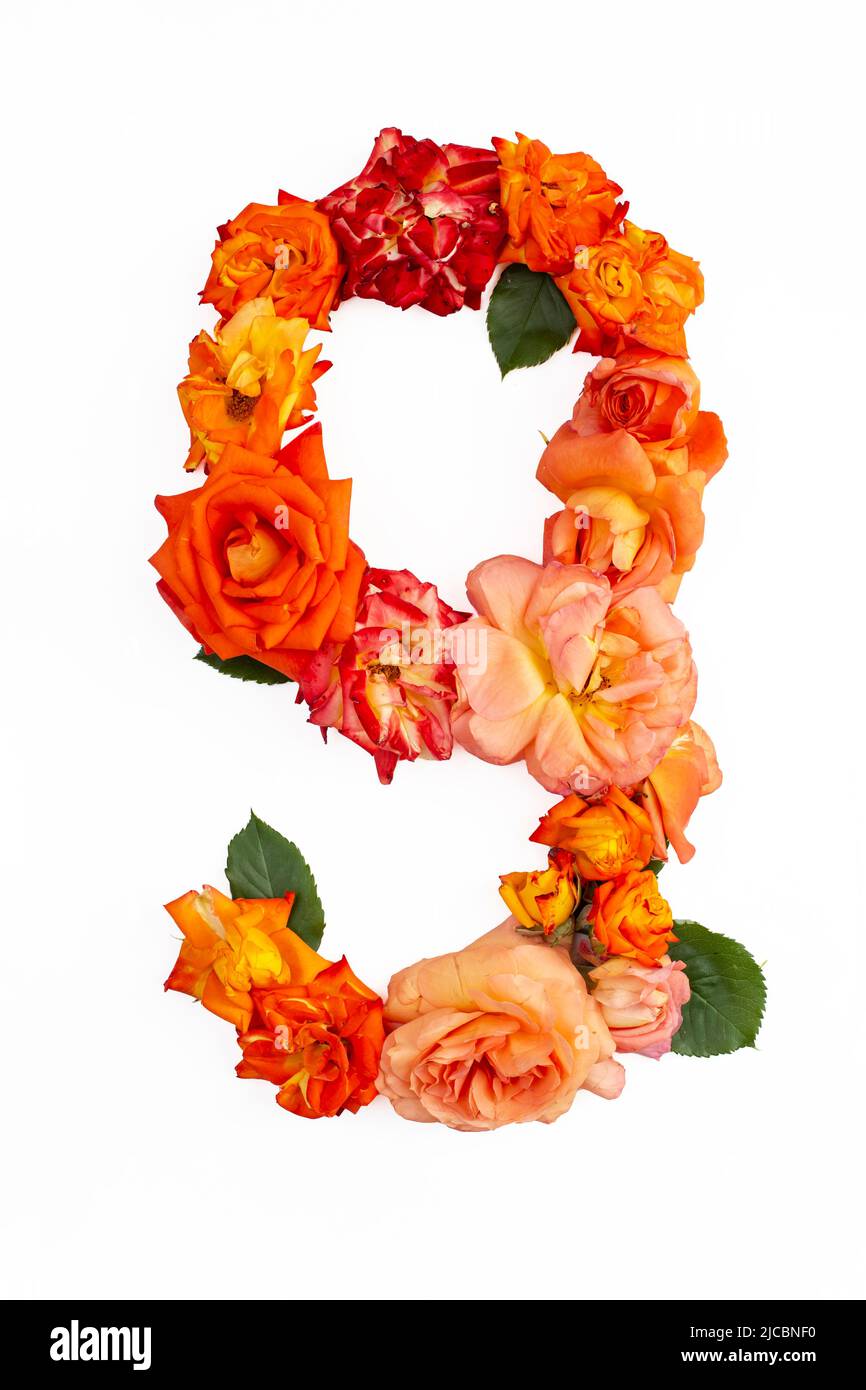 Number nine made with real red orange roses, isolated on white ...
