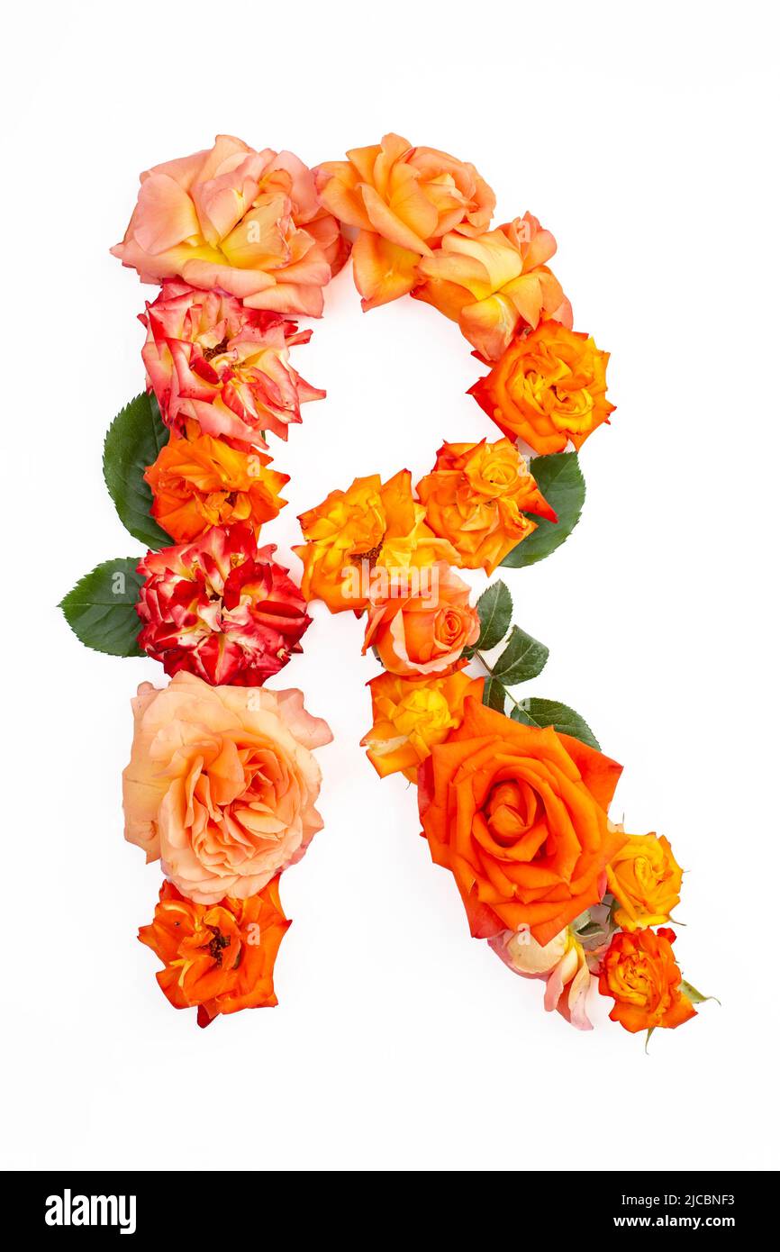 Letter r flowers hi-res stock photography and images - Alamy