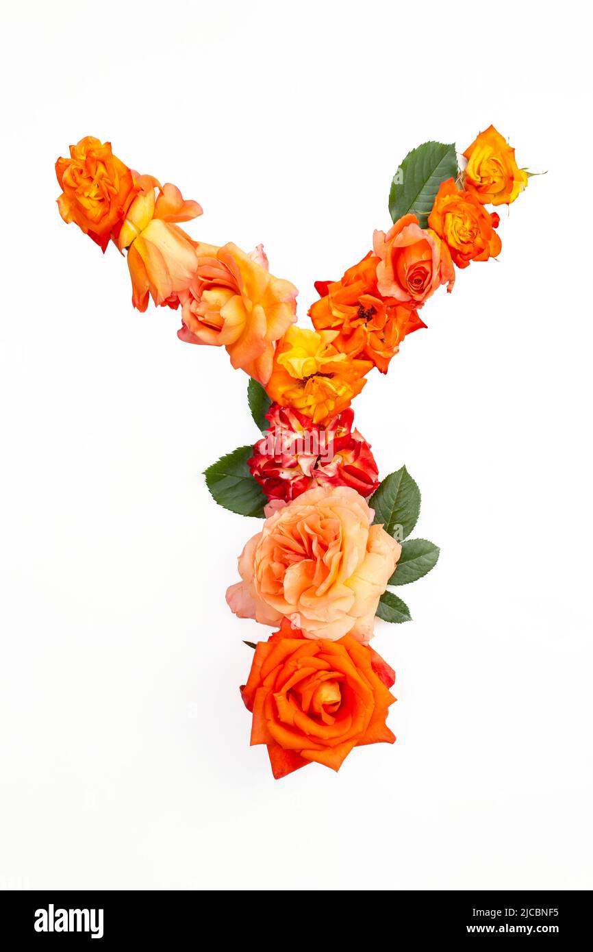 Uppercase y hi-res stock photography and images - Alamy