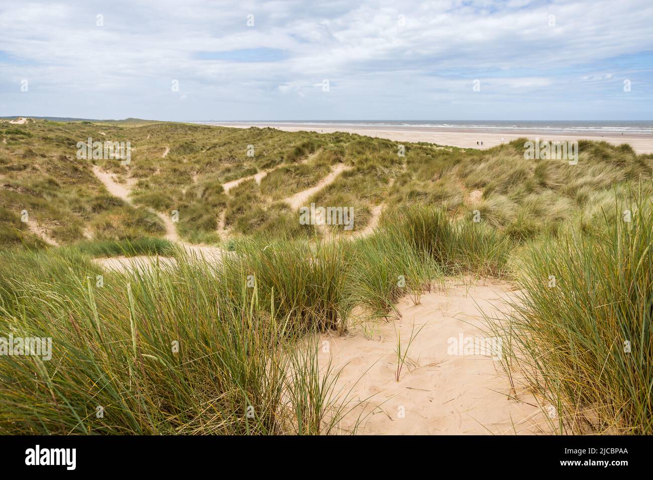 Dunes coast coast line shore beach dune seafront hi-res stock ...
