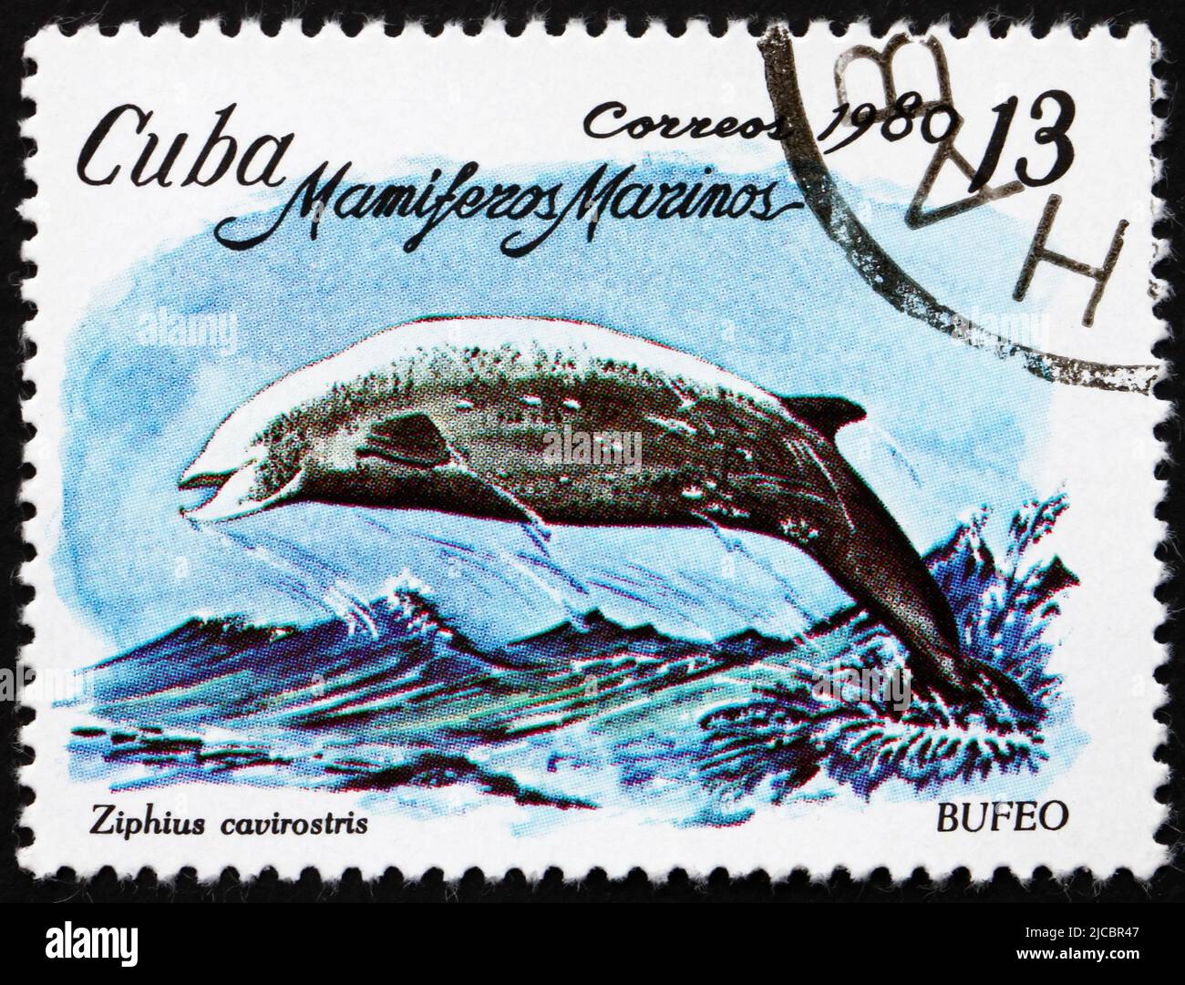 CUBA - CIRCA 1980: a stamp printed in the Cuba shows Cuvier's Beaked ...