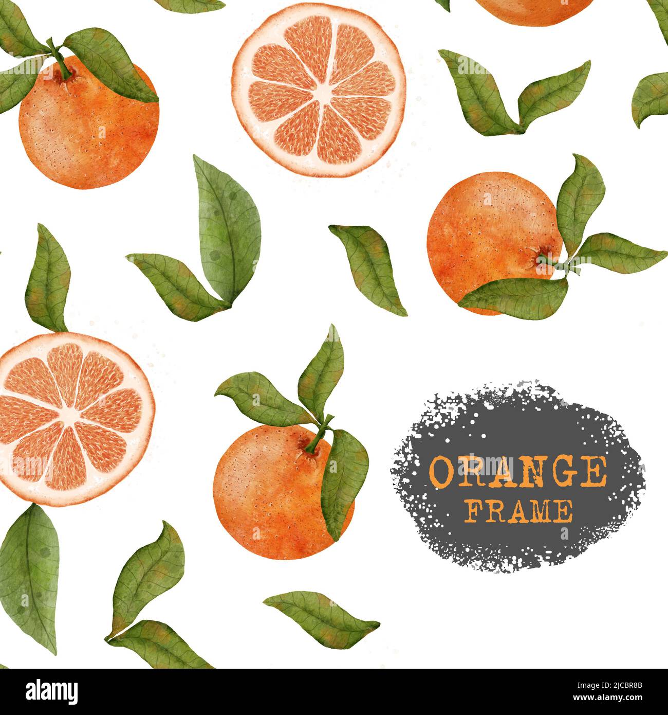 Watercolor orange fruit background. Orange with grapefruit leaves and ...