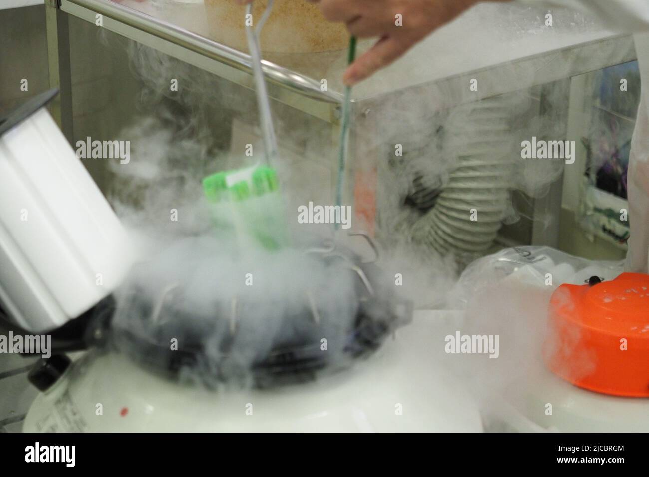 using liquid nitrogen at the lab Stock Photo - Alamy