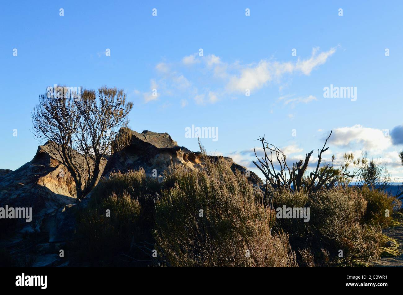 A rocky outcrop at Lincolns Rock in the Blue Mountains of Australia ...