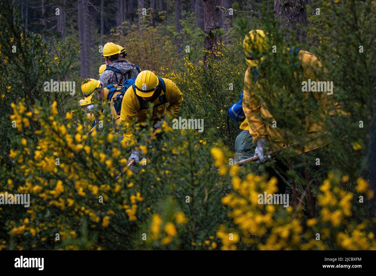 Wildland fire shelter hi-res stock photography and images - Alamy