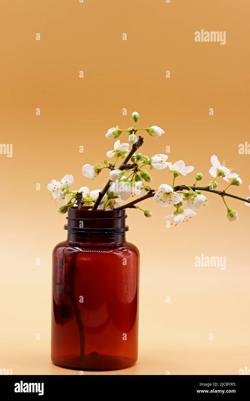 white spring blossom in a vase Stock Photo - Alamy