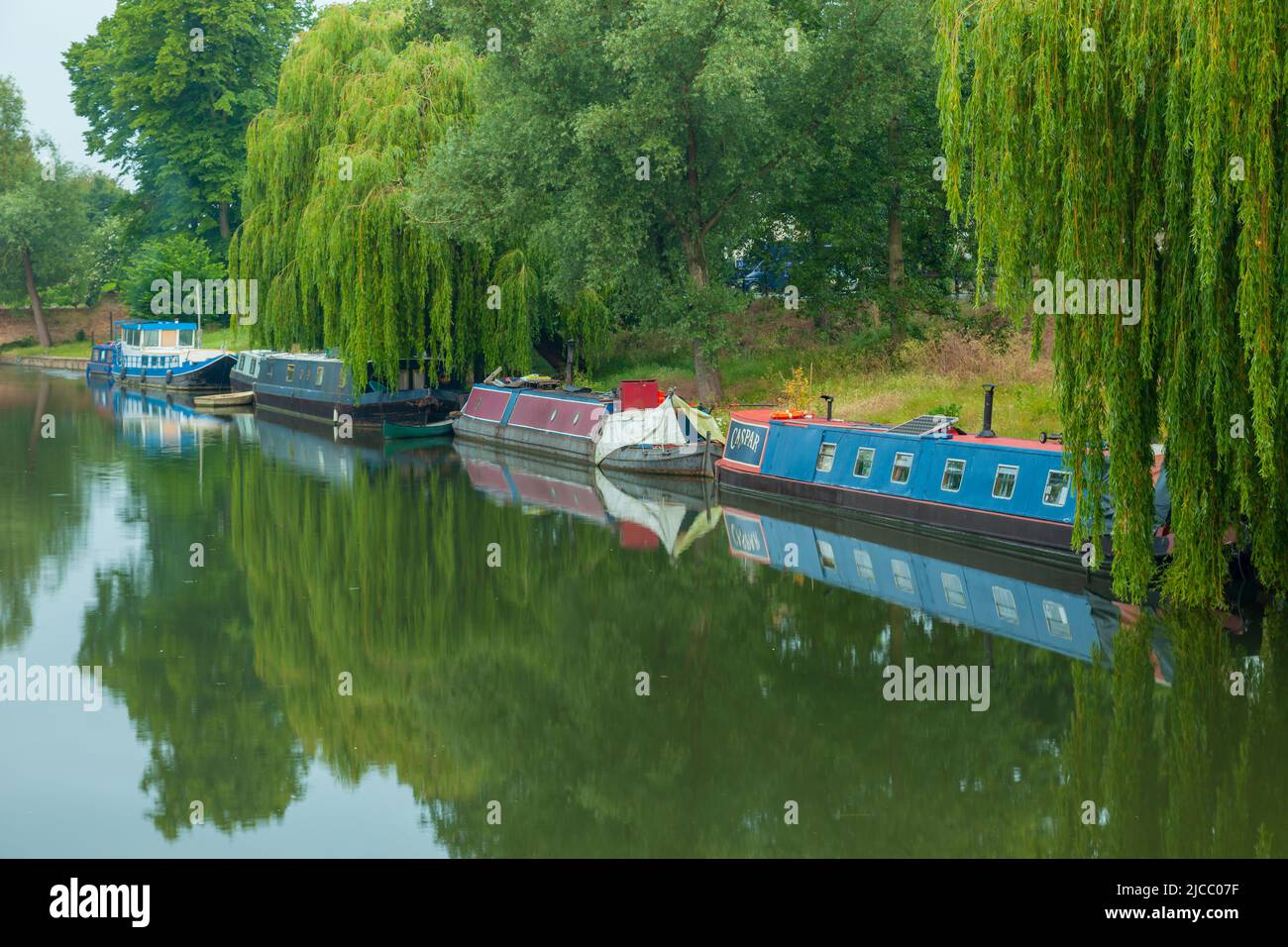 Spring morning on the riverside in Cambridge, England Stock Photo - Alamy
