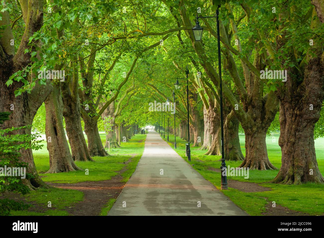 Spring morning on Jesus Green in Cambridge, England Stock Photo - Alamy