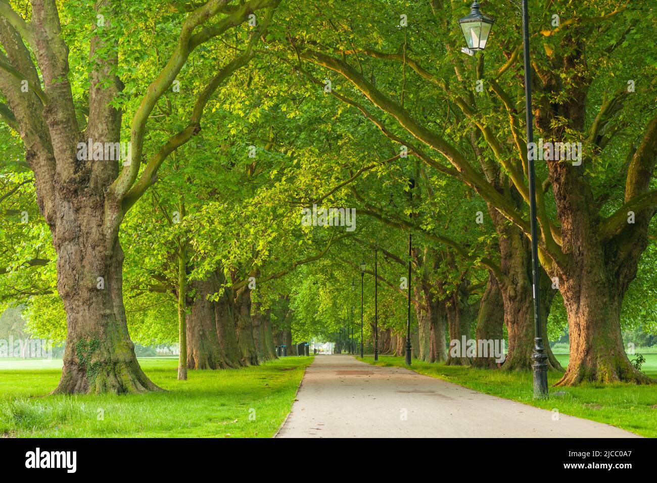 Sunrise at Jesus Green in Cambridge, England Stock Photo - Alamy