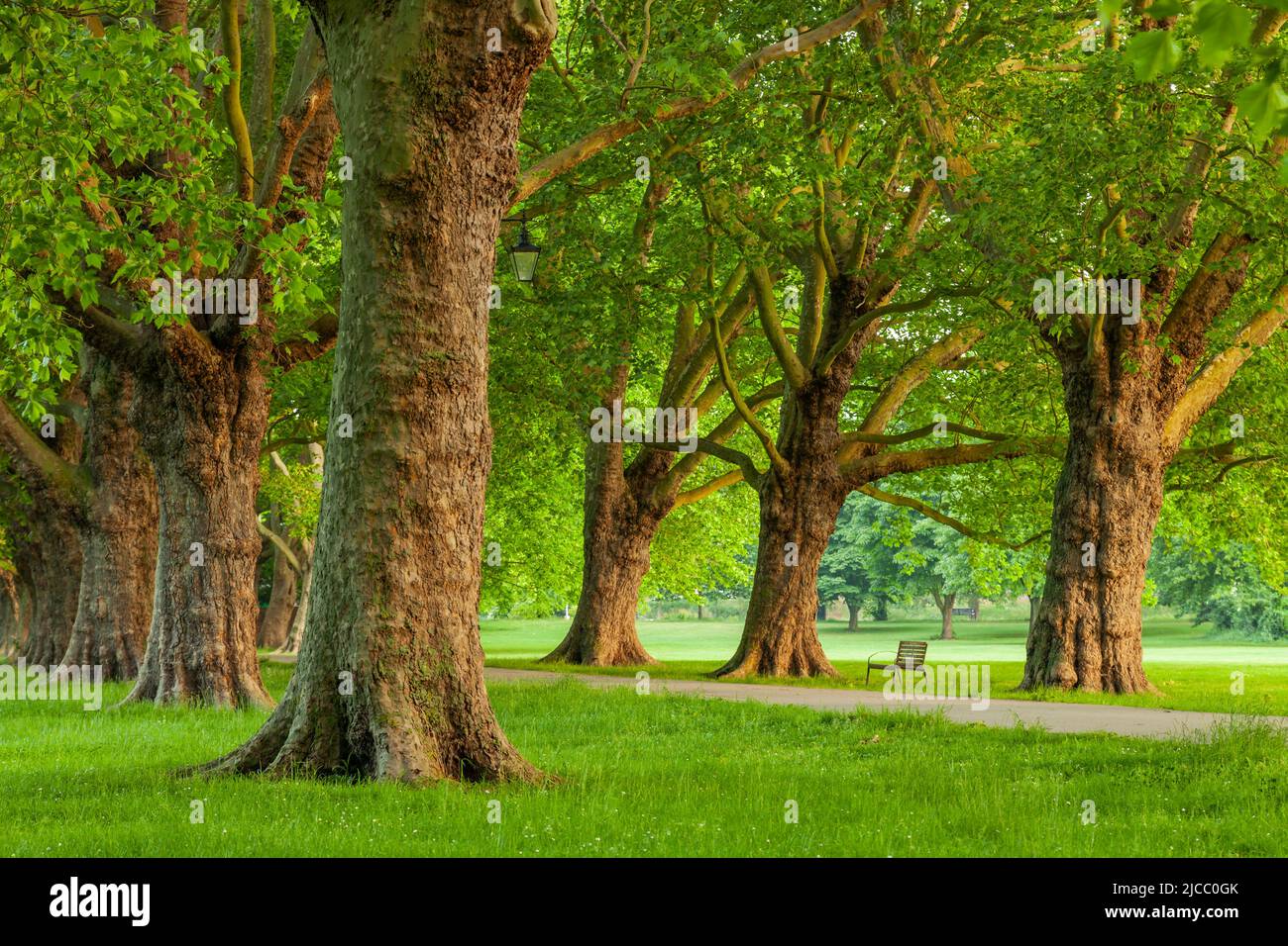 Park cambridge hi-res stock photography and images - Alamy