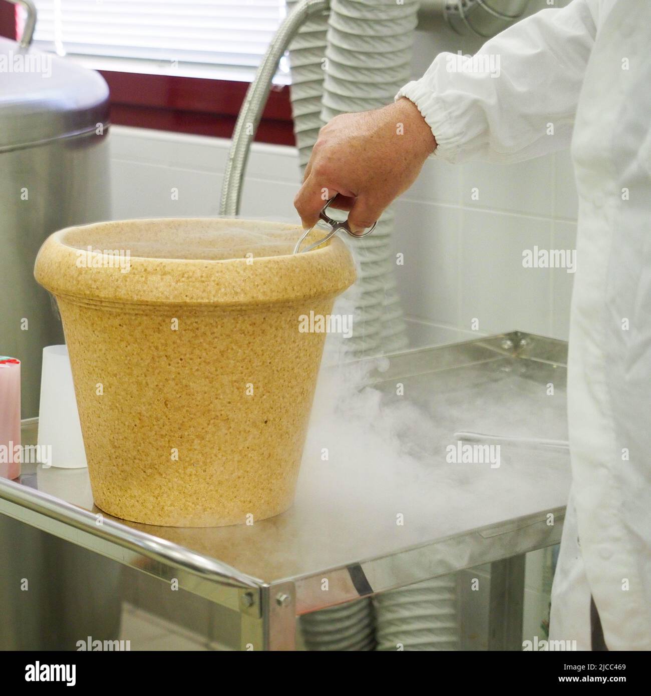 using liquid nitrogen at the lab Stock Photo - Alamy
