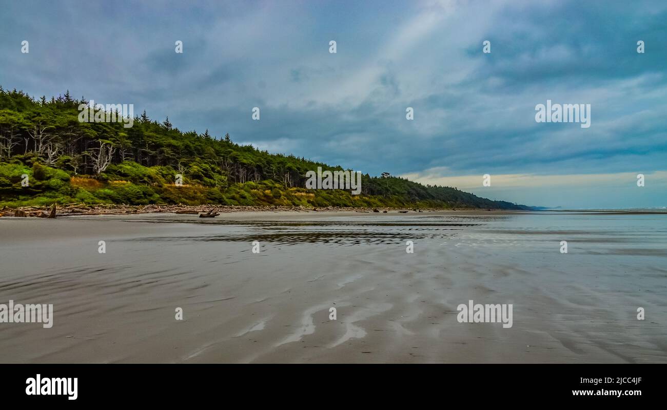 Wide sandy tidal shore in Olympic National Park, Washington, USA Stock ...