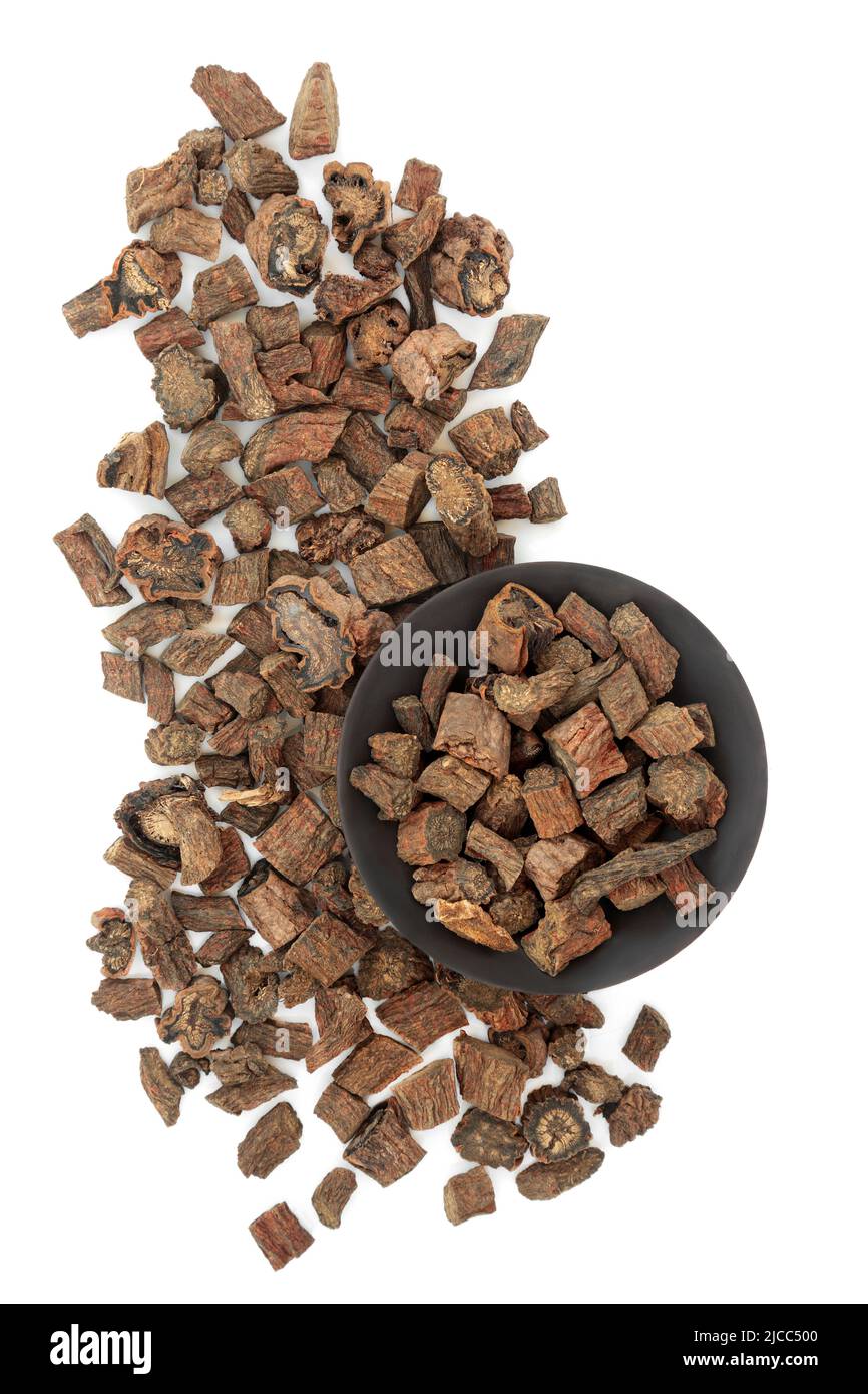 Red sage root herb used in traditional Chinese herbal plant medicine on ...