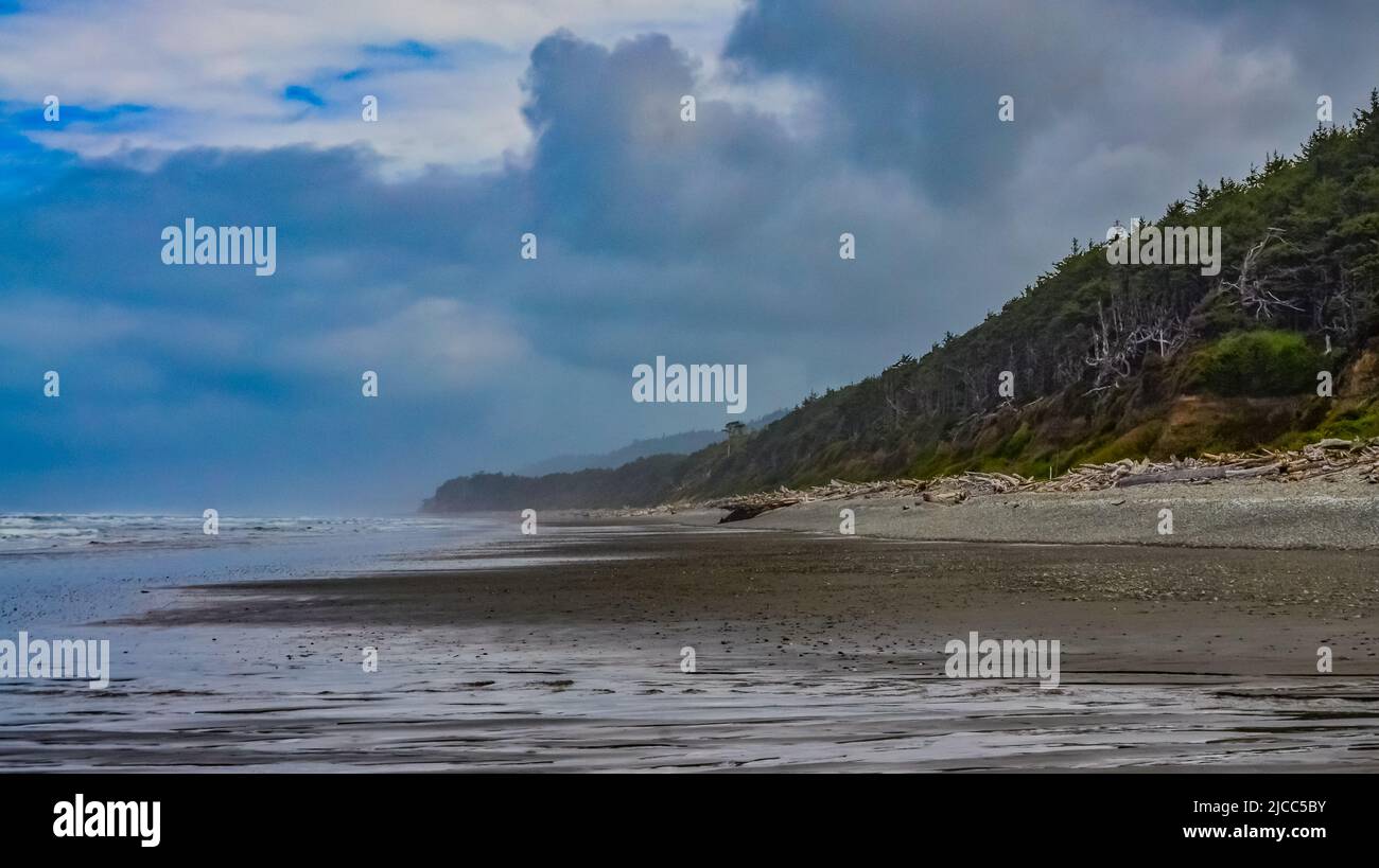Wide sandy tidal shore in Olympic National Park, Washington, USA Stock ...