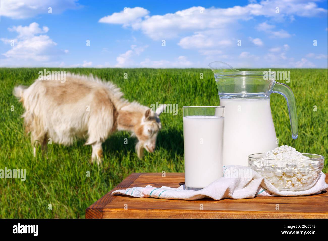 milk and cottage cheese on table with grazing goat Stock Photo - Alamy