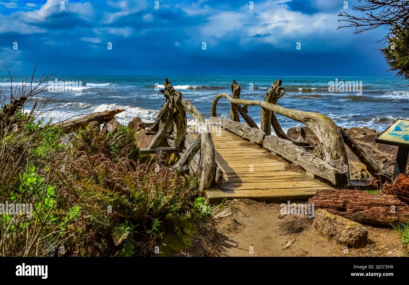 Wooden footbridge over a stream in Olympic National Park, Washington ...