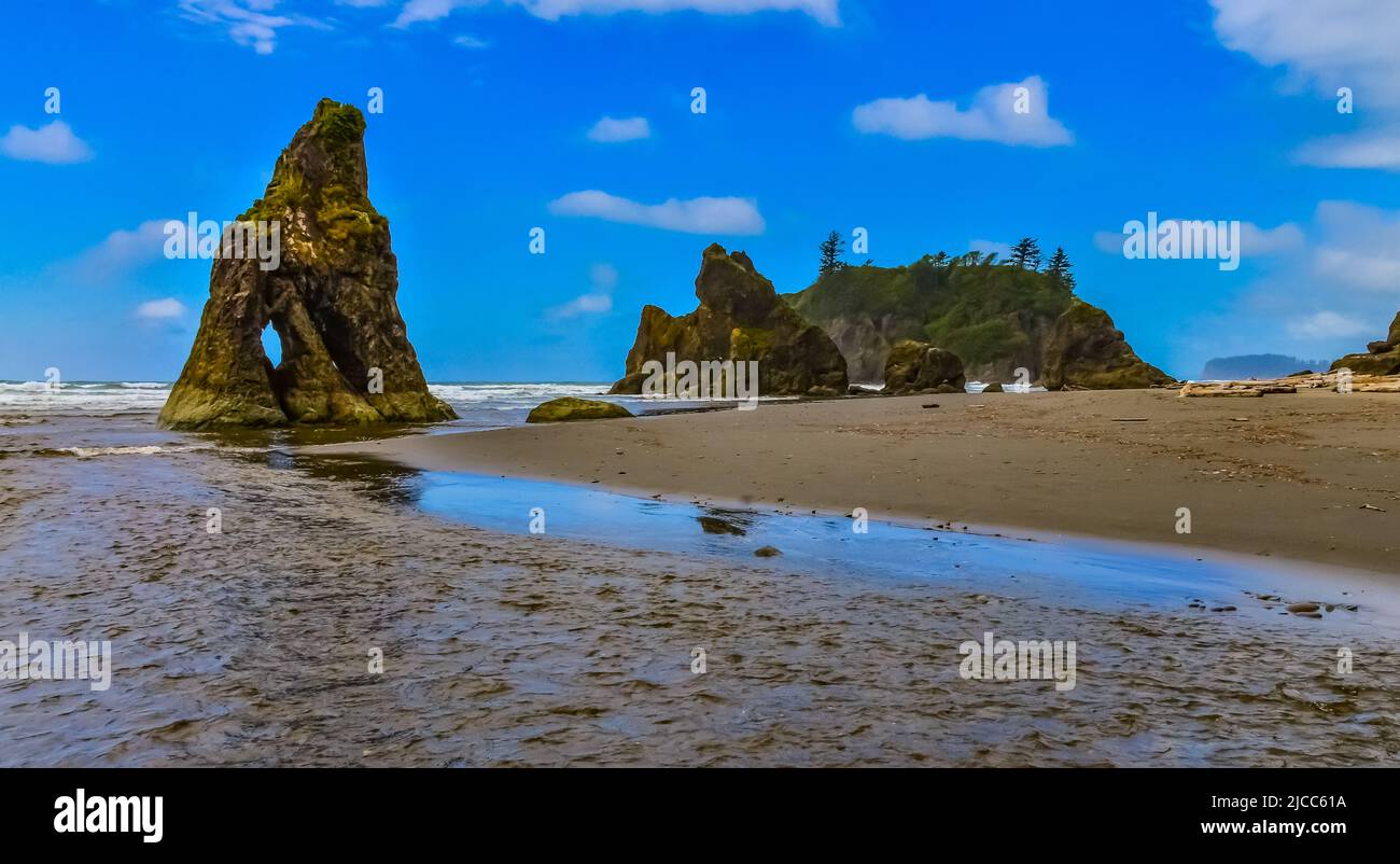 Marine landscape. Small islands and rocks on the shores of the Pacific ...