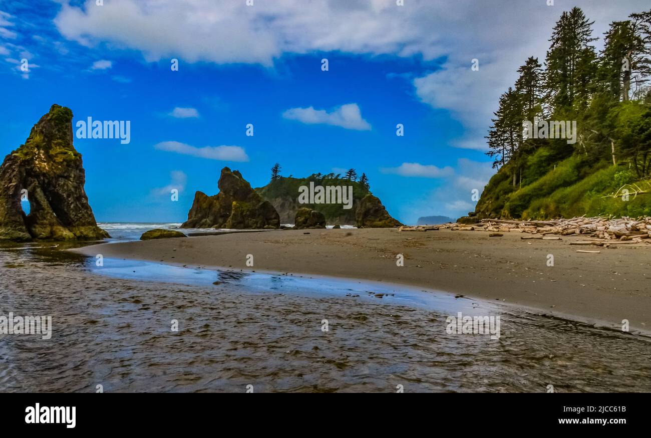 Marine landscape. Small islands and rocks on the shores of the Pacific ...