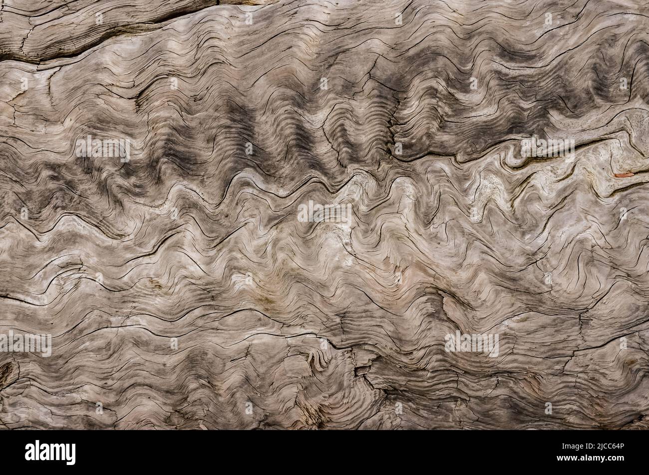 Layers of wood hi-res stock photography and images - Alamy