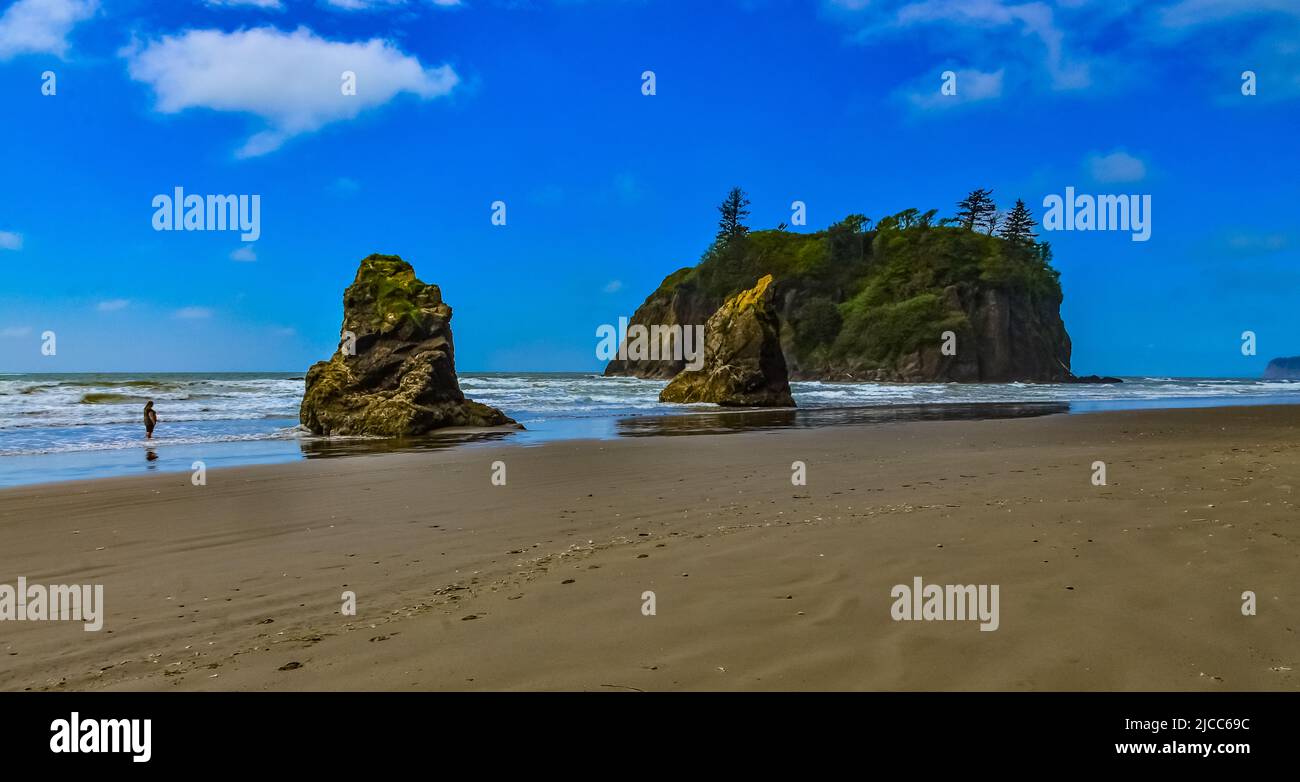 Marine landscape. Small islands and rocks on the shores of the Pacific ...